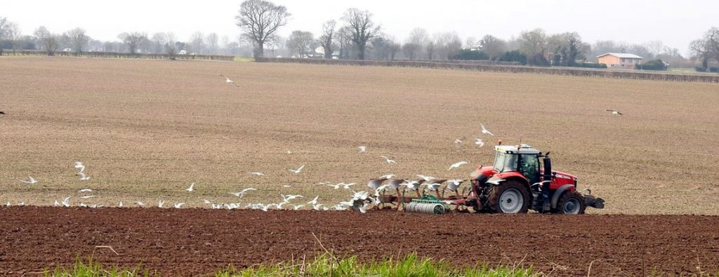 Sunday Worship – Plough Sunday | St Oswald's Church